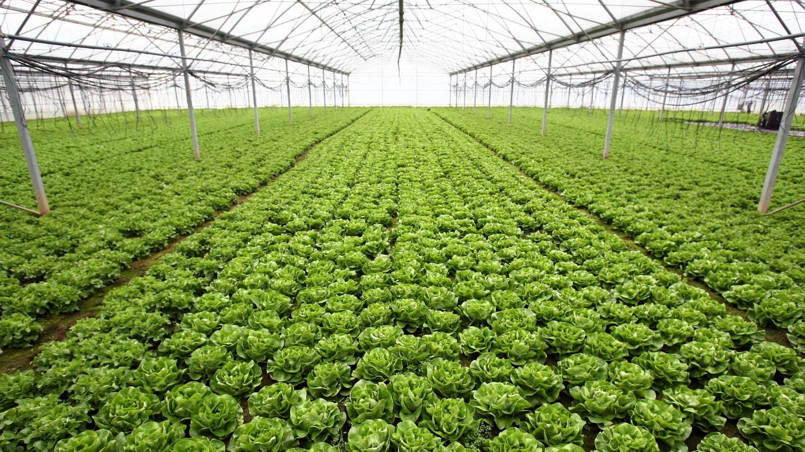 European Biosolutions Coalition: For a Sustainable, Resilient and ...